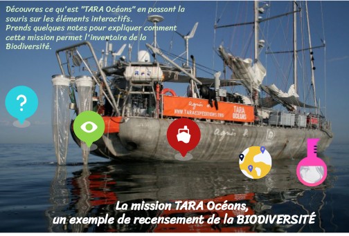 Biodiversité: Mission TARA Océans | Genially