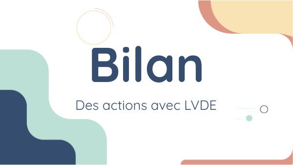 BILAN ACTIONS AVEC LVDE