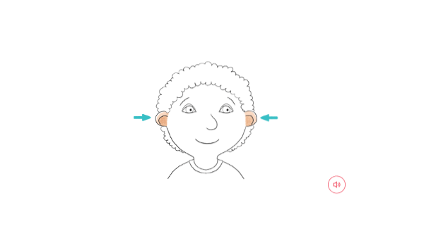 FACE VOCABULARY