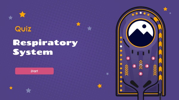 Respiratory system