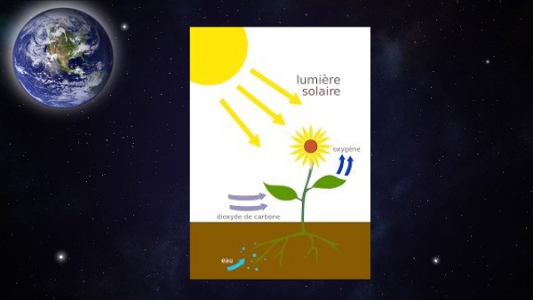 1ES : Chapitre 1 : Energie solaire et photosynthèse | Genially