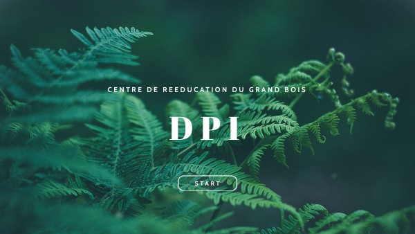 TD 3 UE 5.3 DPI Mme F en SSR 2023 | Genially