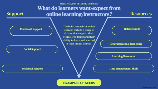 Holistic Needs of Online Learners