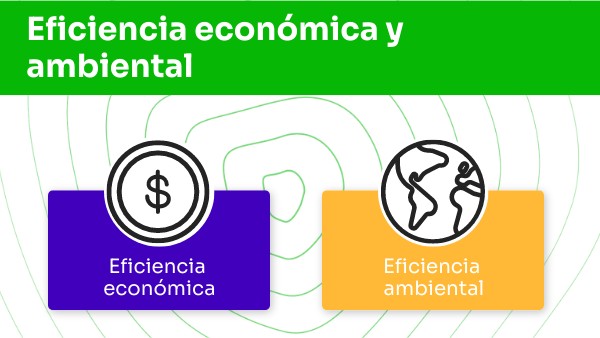 Eficiencia_económica_y_ambeintal_L1C123