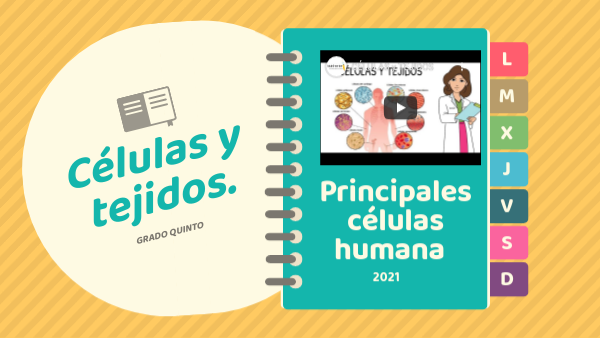 Células y tejidos | Genially