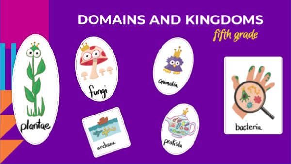 domains and kingdoms