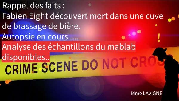 T2 C1 2nd lab ADN | Genially