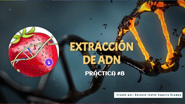 Biología-Extracción de ADN | Genially