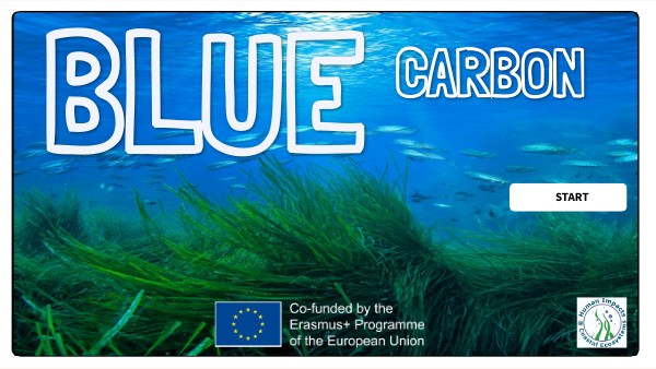 UDI BLUE CARBON | Genially