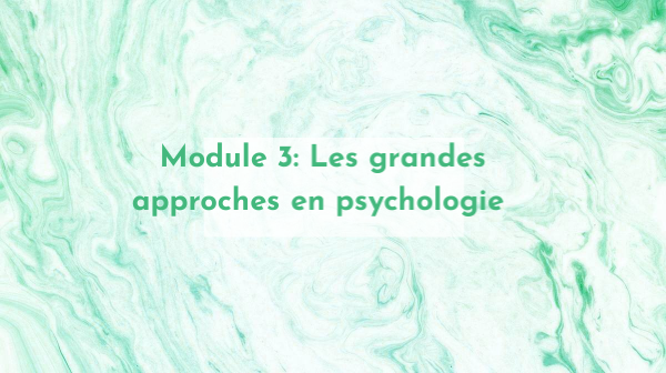 Le Béhaviorisme | Genially