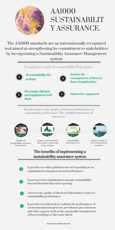 AA1000 SUSTAINABILITY ASSURANCE | Genially