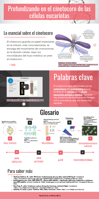 Profundizando en el cinetocoro de las células eucariotas | Genially