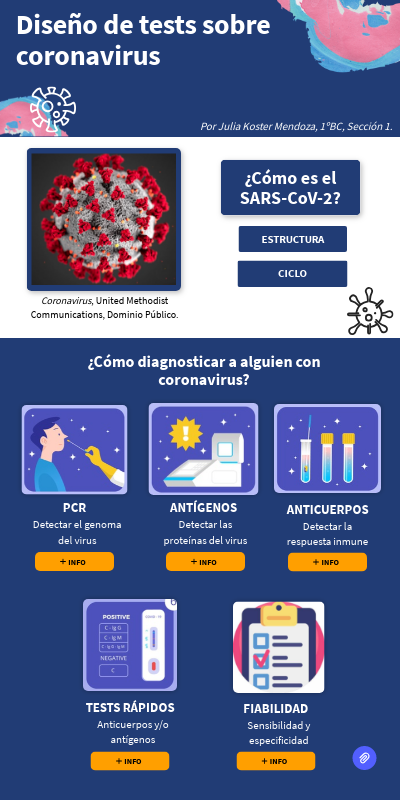 Conferencia tests covid- Julia Koster