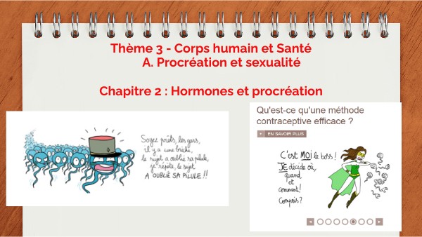 Seconde - TH3 CH2 Hormones et procréation | Genially