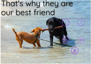 How dogs can help you