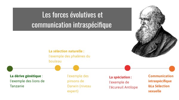LES FORCES EVOLUTIVES