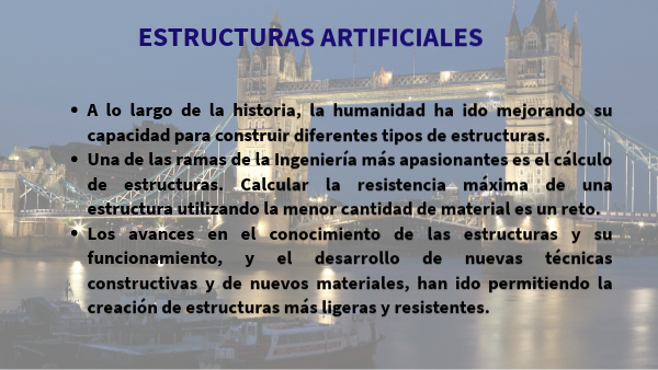 ESTRUCTURAS ARTIFICIALES