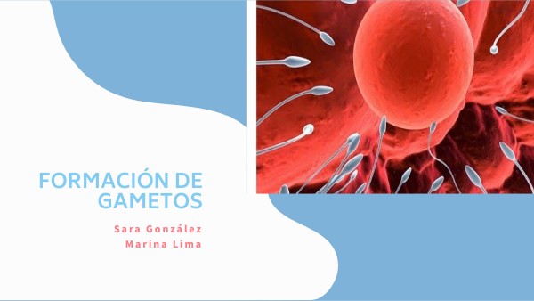 PRESENTACIÓN FORMACIÓN GAMETOS | Genially