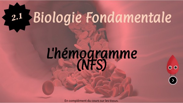 L'hémogramme | Genially