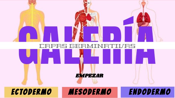 CAPAS GERMINATIVAS | Genially