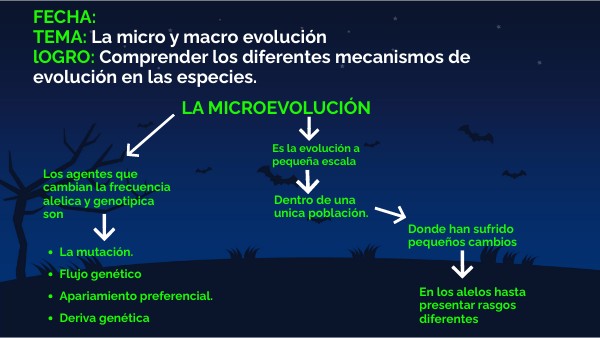 MICROEVOLUCIÓN 9° BIOLOGIA