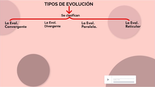 9° TIPOS DE EVOLUCIÓN EN LA MACROEVOLUCIÓN BIOLOGÍA