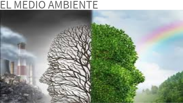 EL MEDIO AMBIENTE