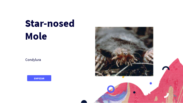 Star-nosed Mole