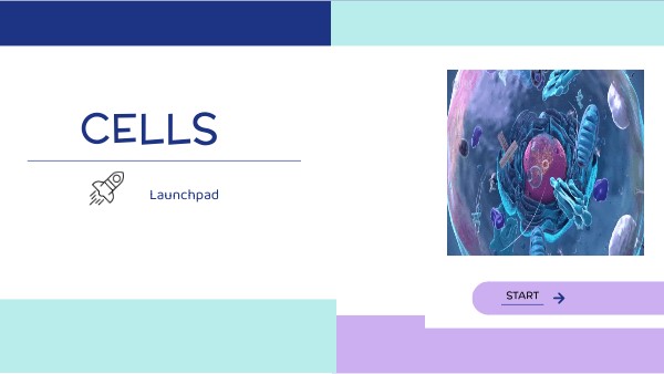 Launchpad-Cells | Genially