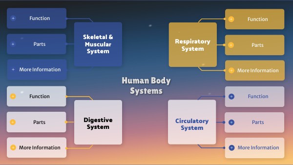 Body System Mind Map | Genially