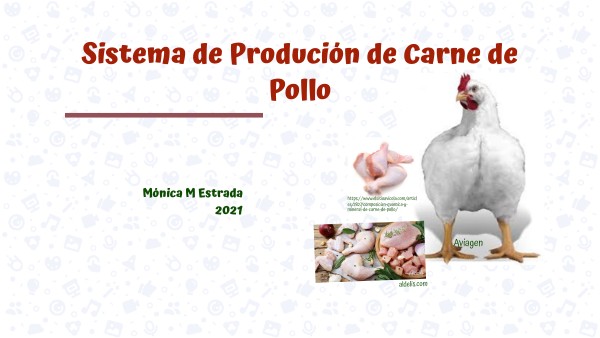 Sistema de producción de carne de pollo | Genially