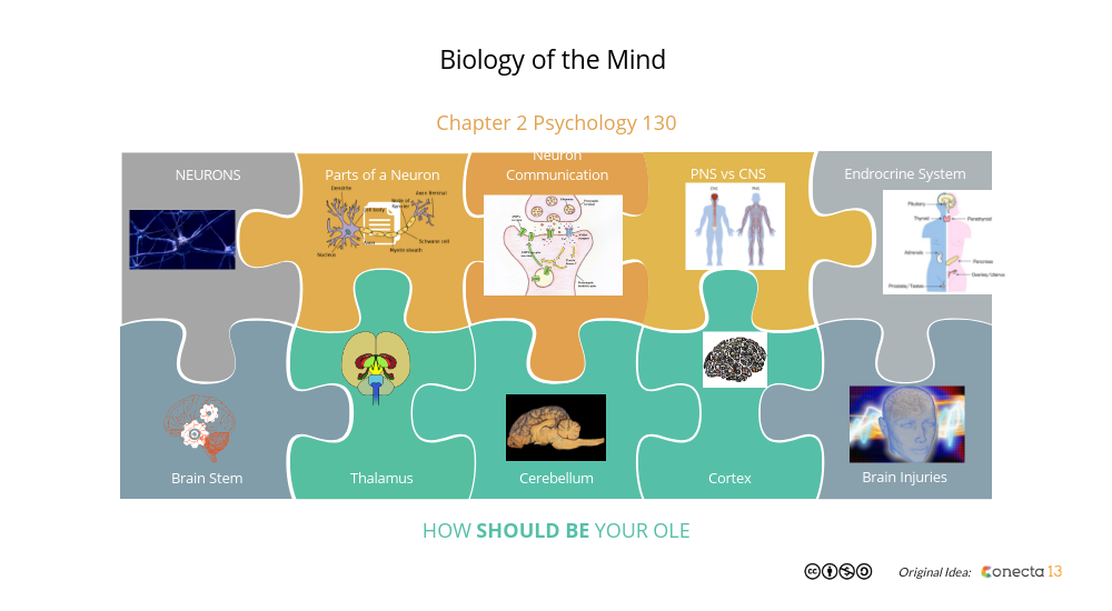 Biology of the Mind | Genially