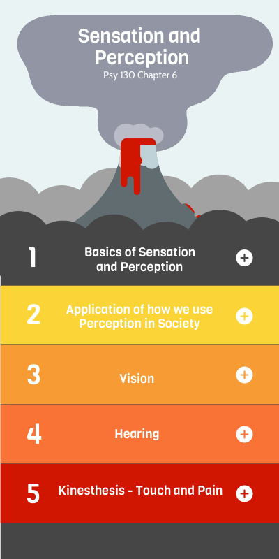Psy 130 Sensation and Perception | Genially