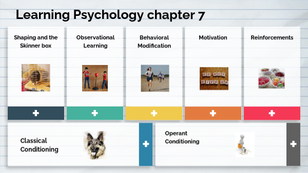 learning Chapter 7 | Genially