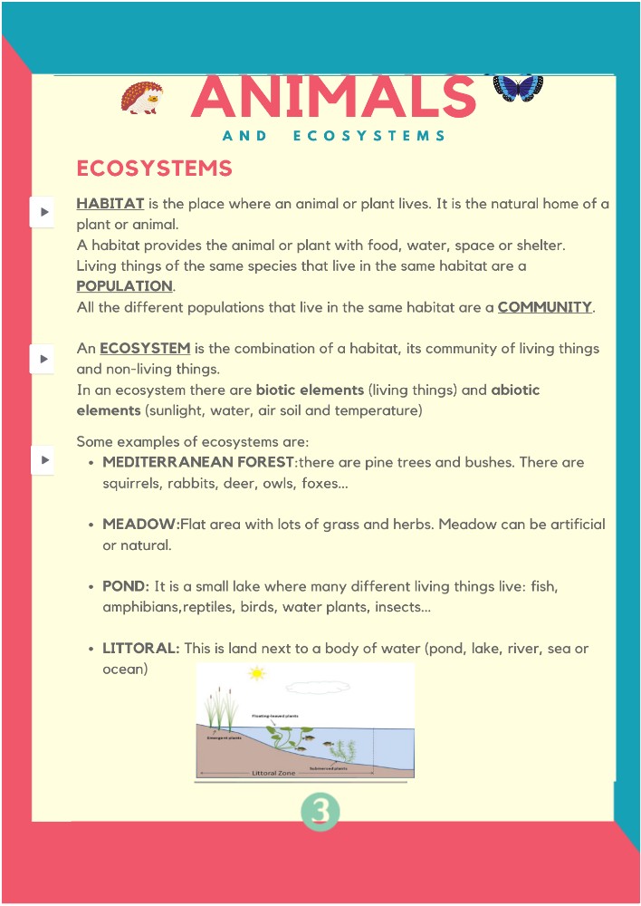 SCRIPT Part2 (Animals and Ecosystems) copia