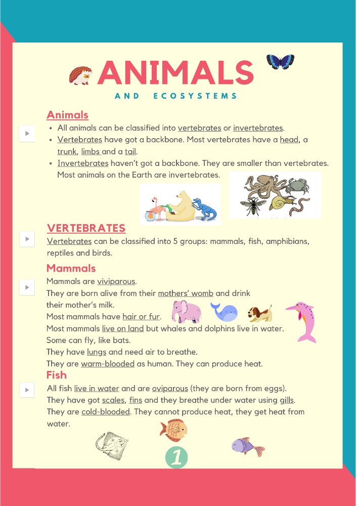 SCRIPT Part1 (Animals and Ecosystems) | Genially