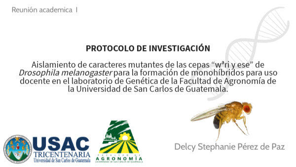 Presentación Protocolo_ Seminario I | Genially