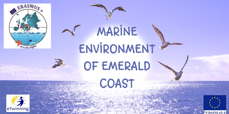MARINE ENVIRONMENT