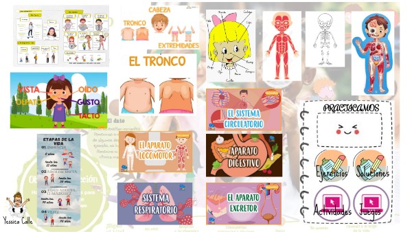 TEMA 1 Mira cómo eres | Genially