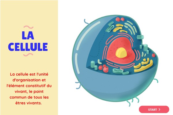 Jeux sur la cellule | Genially