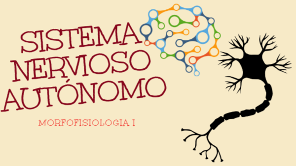 Sistema nervioso autónomo
