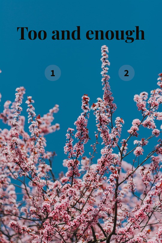 too and enough | Genially