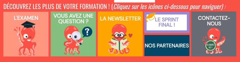 AEPE - Page d'accueil paradiso formations B2C | Genially