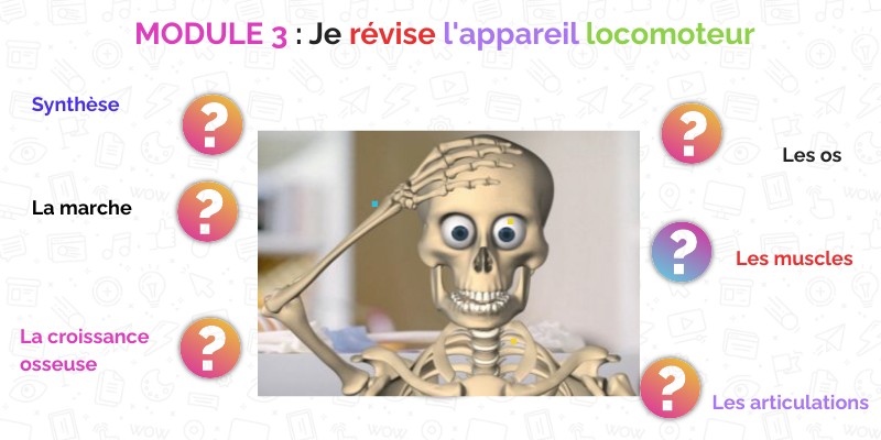 MODULE 2 : L'appareil locomoteur | Genially