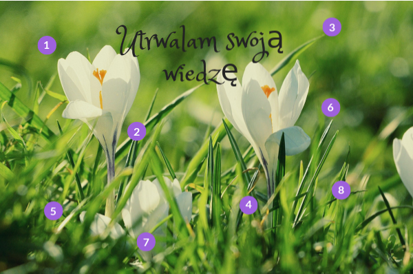 Copy - Copy - Copy - Interactive image | Genially