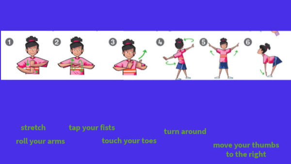 Tiger 3 Unit 3 Workouts | Genially