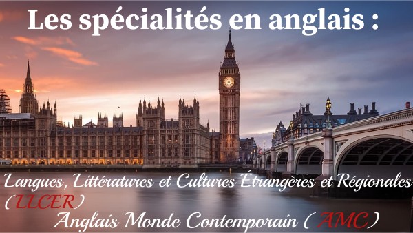 LLCER & AMC | Genially