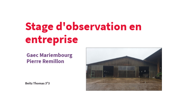 Rapport de stage Thomas Beitz | Genially