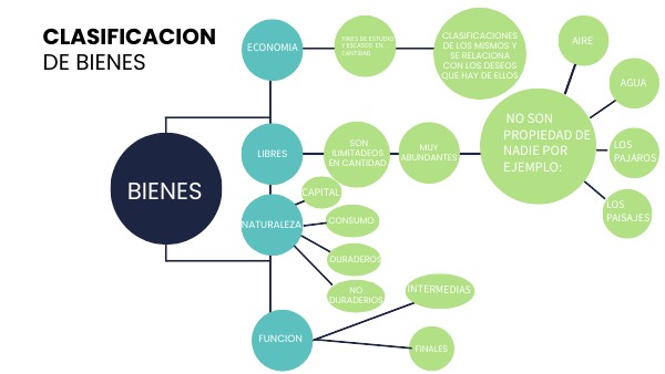 CLASIFICACION DE BIENES