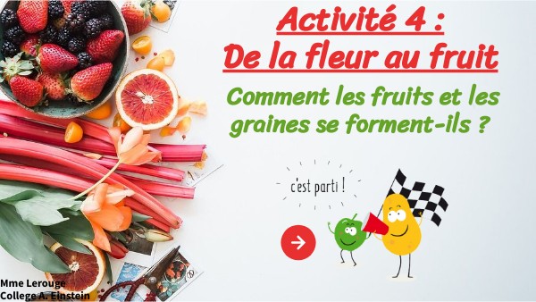 De la fleur au fruit | Genially
